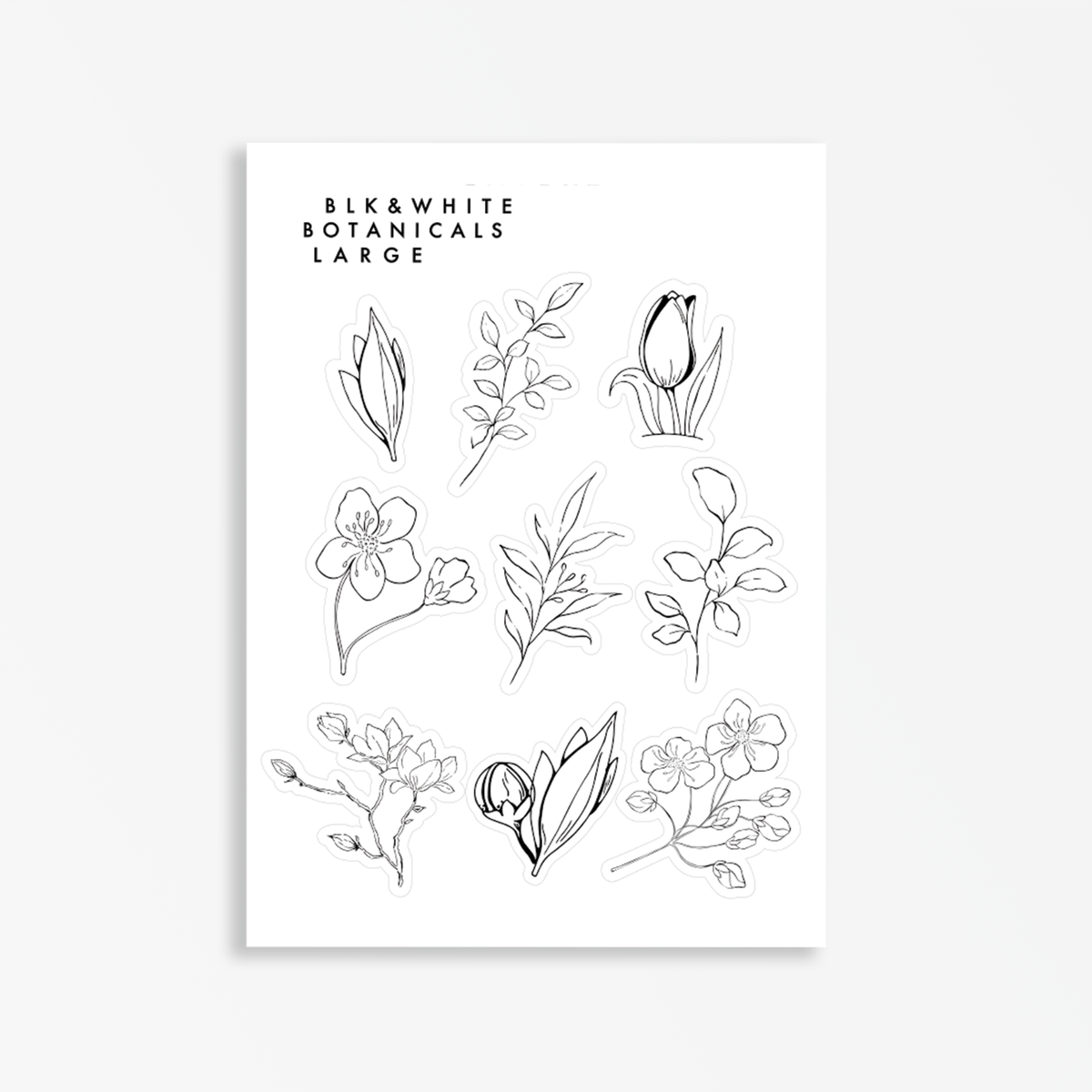 Blk & White Botanical Florals – Paperie Planning
